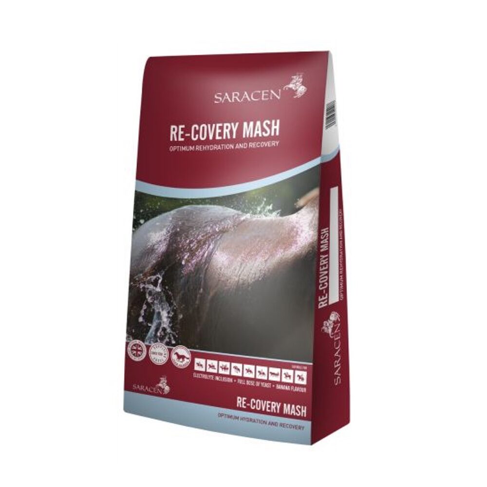 Saracen Recovery Mash 20kg - Winzer Equine