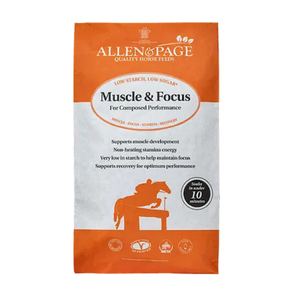 A&P Muscle and Focus - Winzer Equine