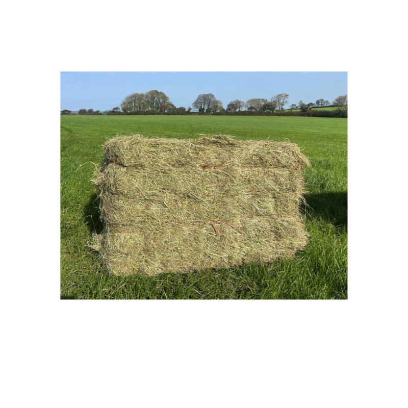 Hay & Haylage Archives - Winzer Equine