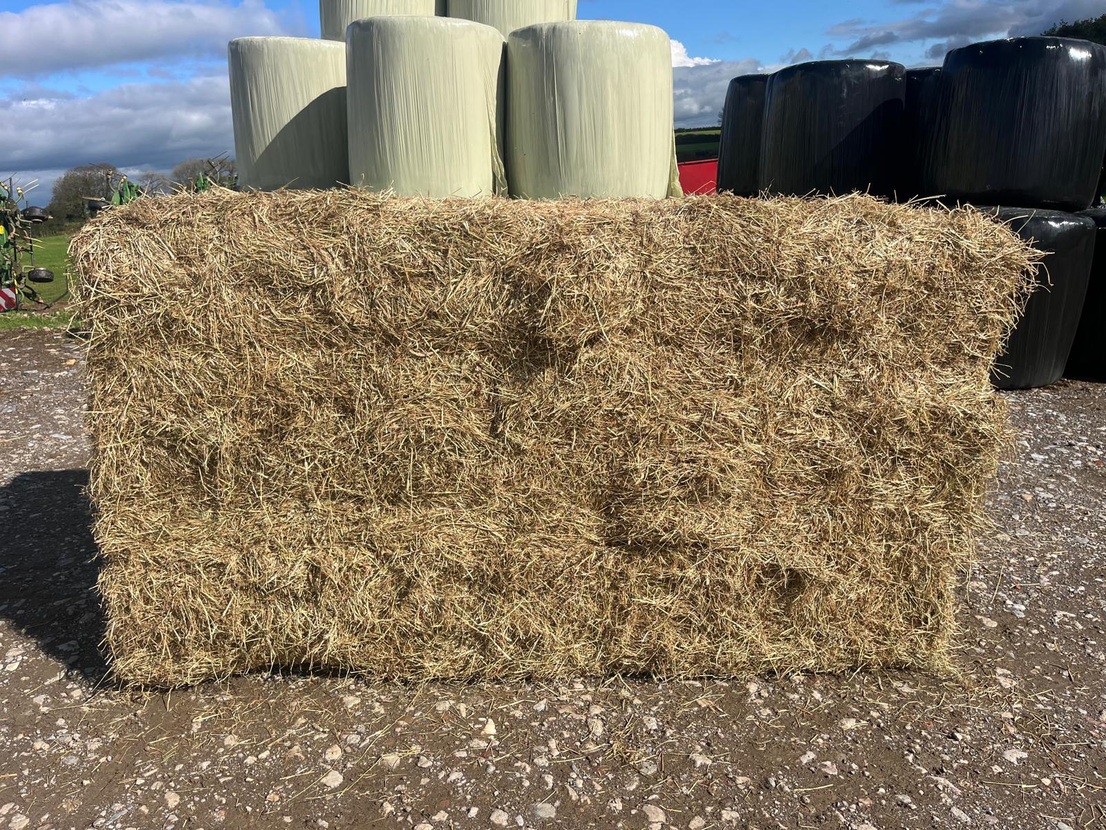 21 Pack Small Bale Hay (HIFI RYE MIX) (TIP OFF ONLY) - Winzer Equine